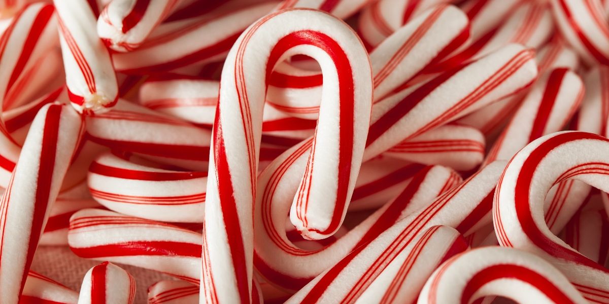 Unwrapping the mystery behind peppermint-flavored treats ...