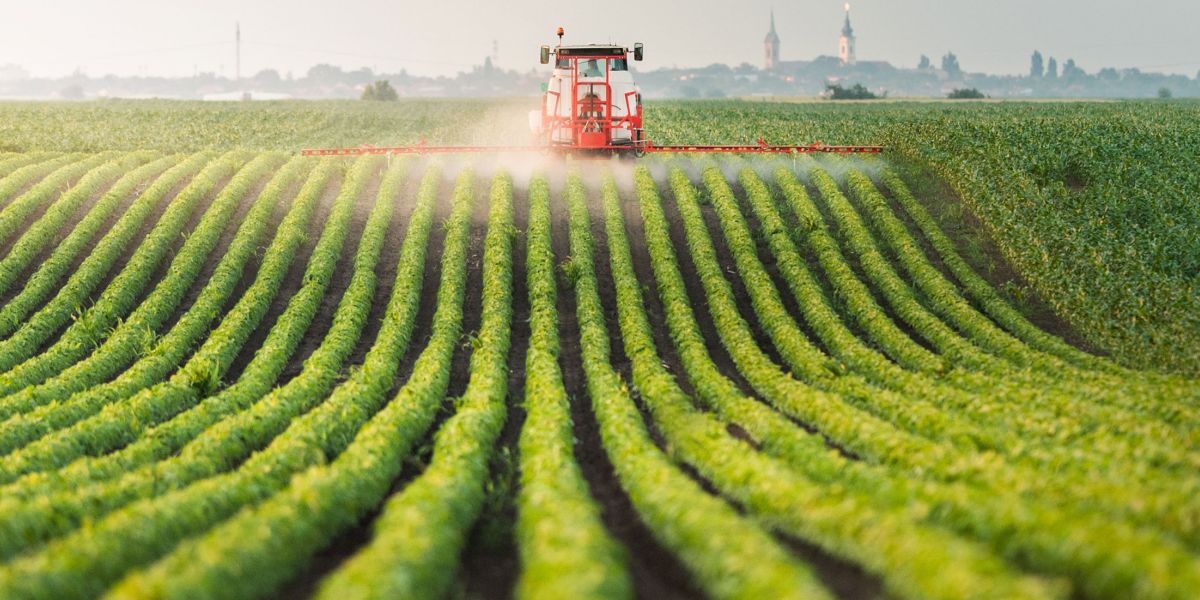 New study finds alarming rise in persistent ‘forever chemicals’ in ...