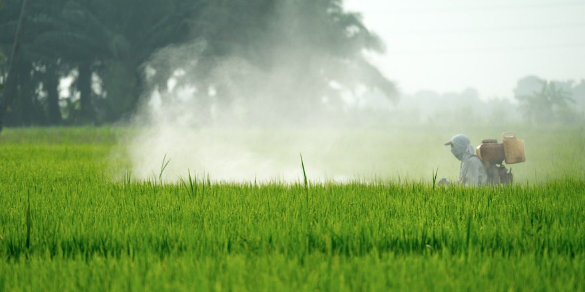Internal papers show Syngenta hid risks of widely used pesticide from ...