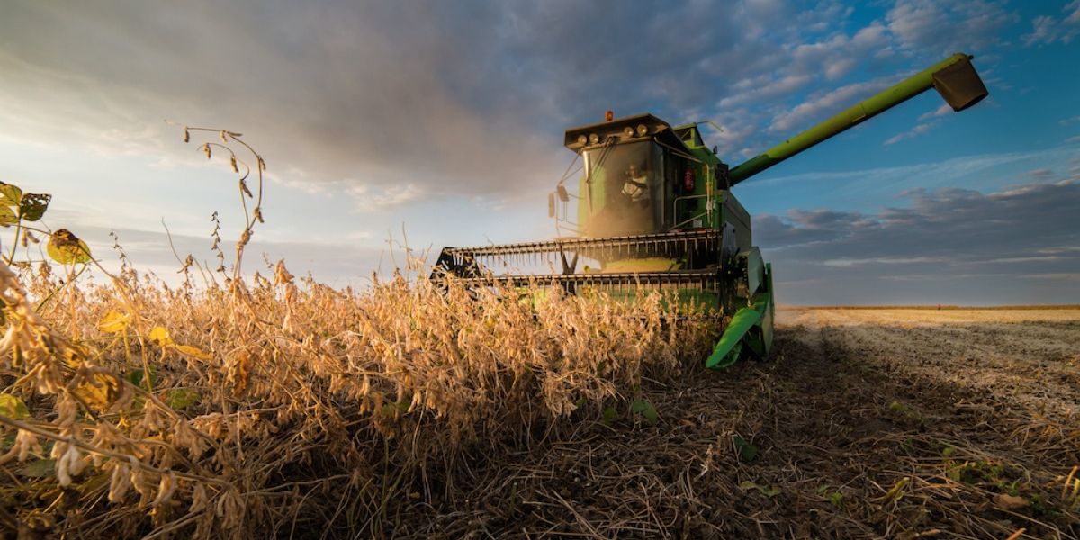 USDA’s Conservation Reserve Program needs reform to improve climate ...