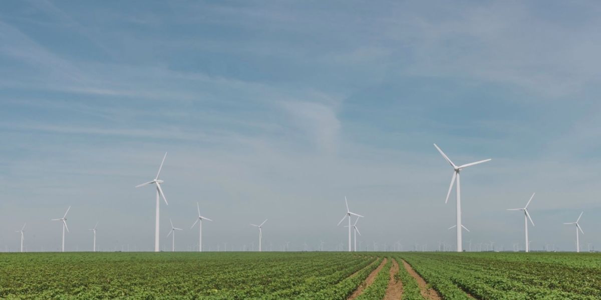 Wind and Solar Are Revitalizing Rural America | Environmental Working Group