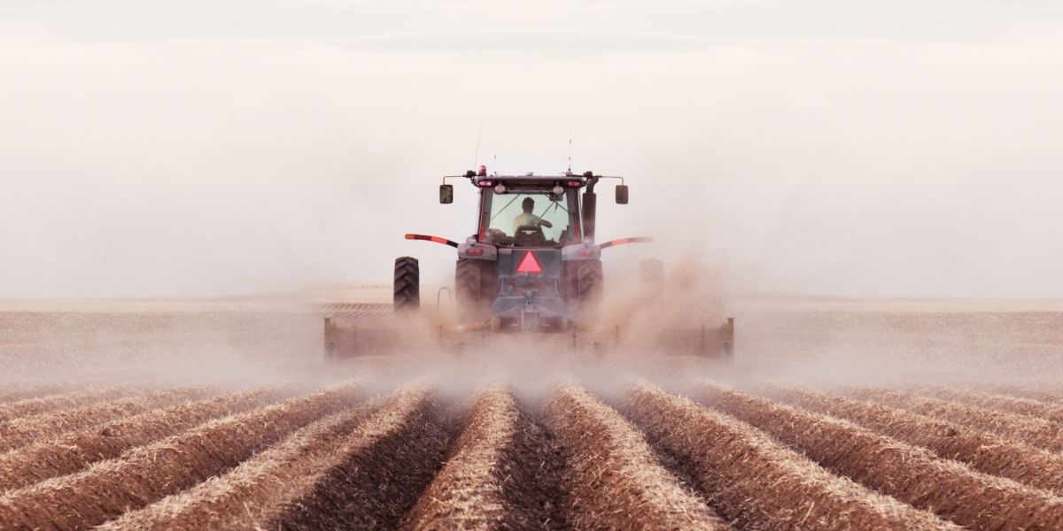 The Smoking Spud: Documents Prove Potato Giant Is Behind Irrigation ...