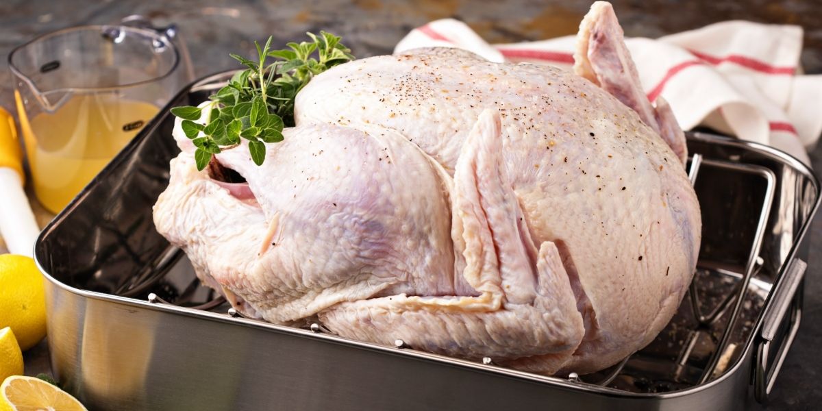 Salmonella Outbreak Raises Concern About Thanksgiving Turkey ...