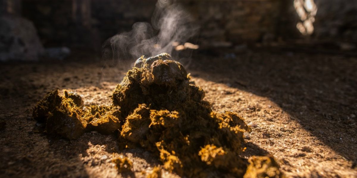 Manure Pits Emit Deadly Pollutants | Environmental Working Group